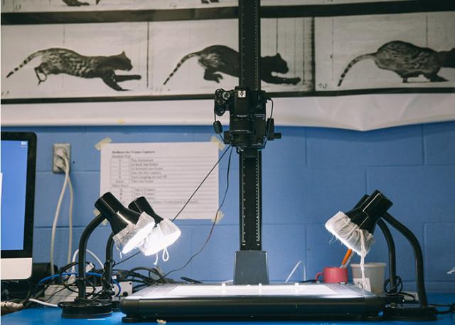 Media Arts | Alberta University of the Arts